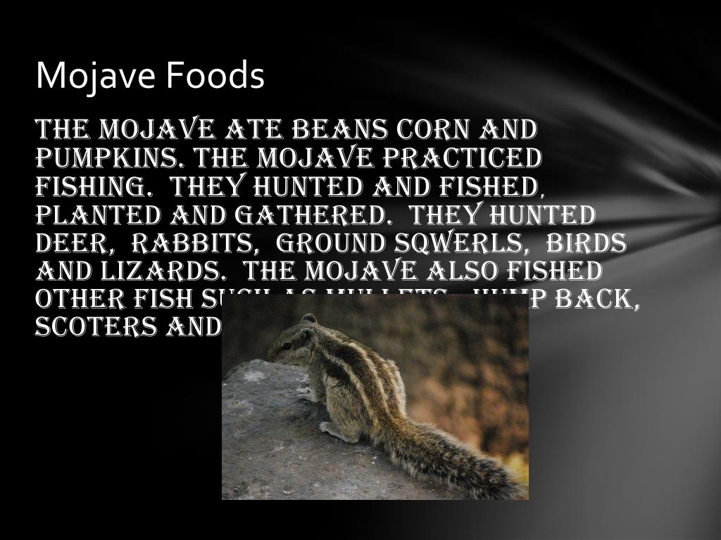 PPT - The Mojave Indians A California Native American Tribe PowerPoint ...