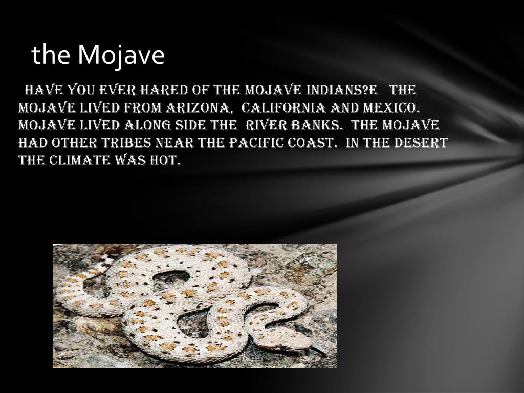 PPT - The Mojave Indians A California Native American Tribe PowerPoint ...