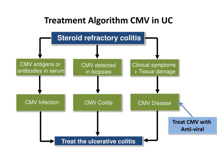 PPT - David T. Rubin, MD, FACG, AGAF, FACP Professor of Medicine ...