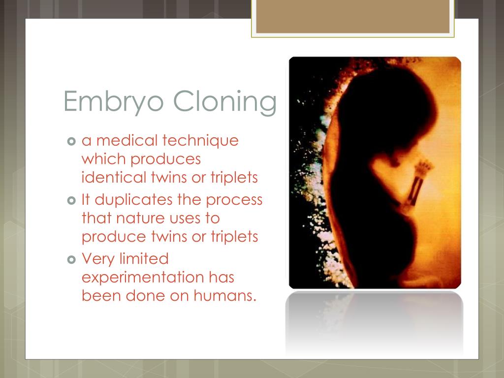 PPT - Human Cloning and genetic manipulation - the ethical concerns ...