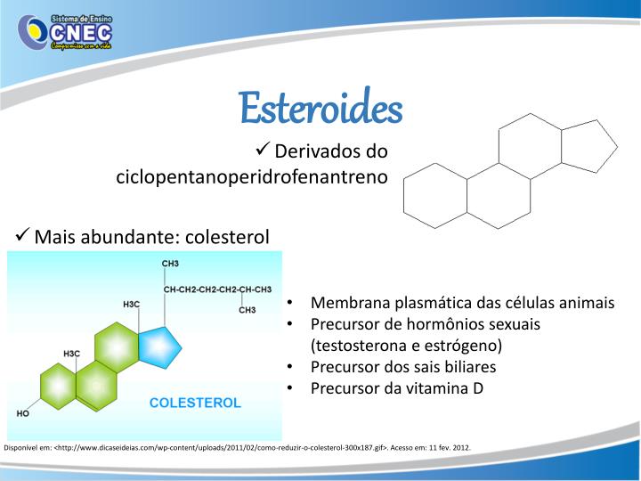 PPT - Lipídios PowerPoint Presentation - ID:2253966