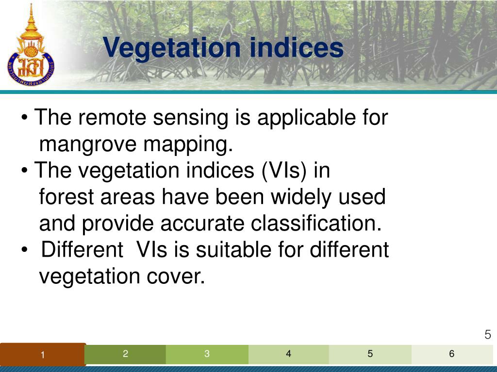 Ppt Comparison Of Vegetation Indices For Mangrove Mapping Using Theos