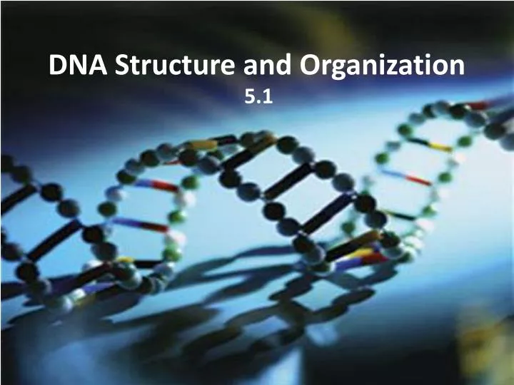 PPT - DNA Structure and Organization PowerPoint Presentation, free ...