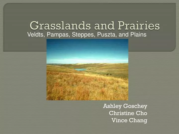 PPT - Grasslands and Prairies PowerPoint Presentation, free download ...