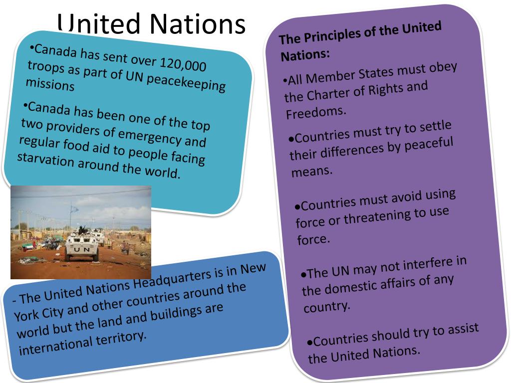 PPT - United Nations (UN) & the Universal Declaration of Human Rights ...