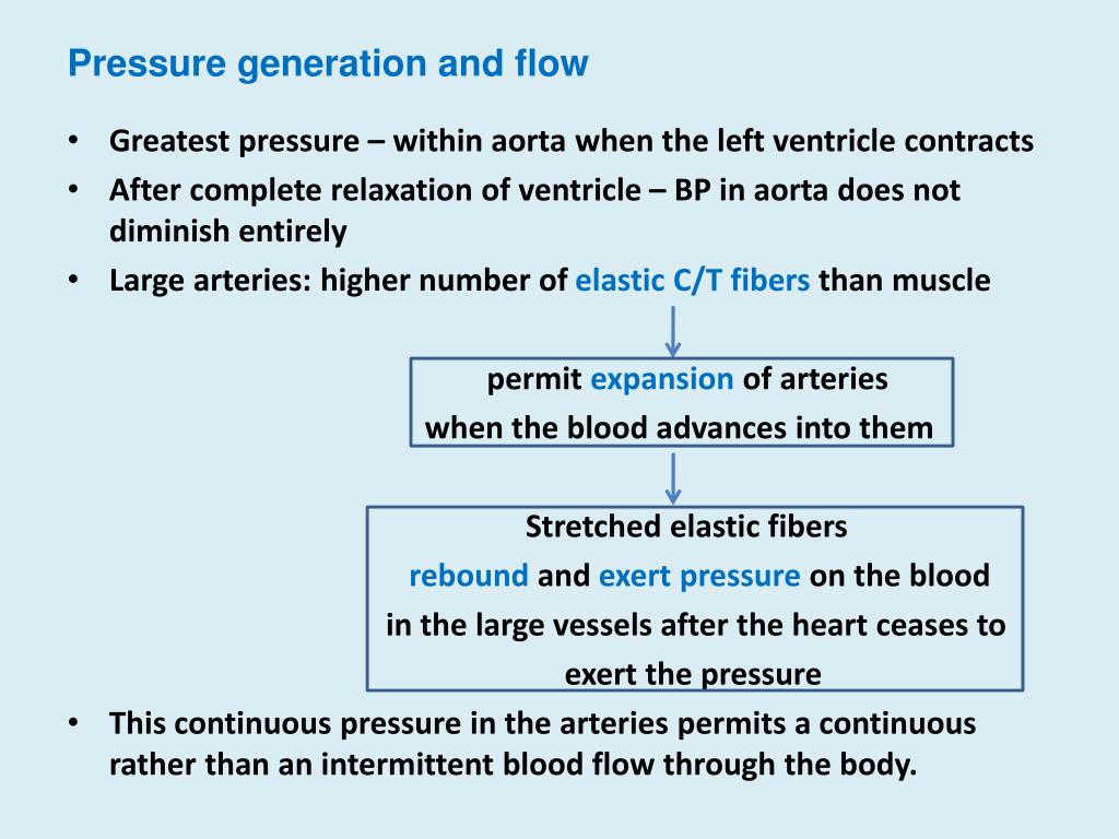 PPT - Cardiovascular system L-4 Blood pressure & special circulation ...