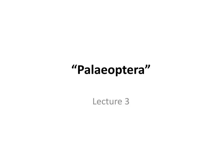 PPT - “ Palaeoptera ” PowerPoint Presentation, free download - ID:2255130