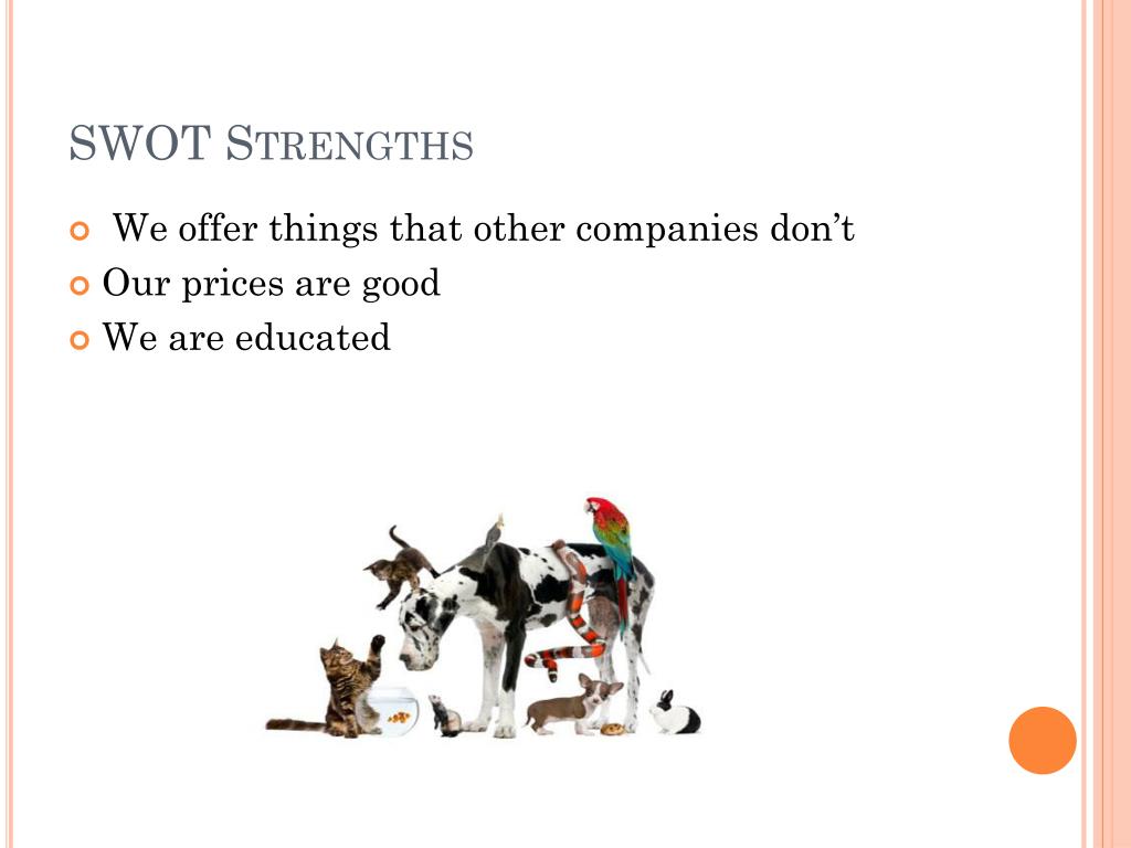 PPT - Happy Pets Long-time care agency PowerPoint Presentation, free ...