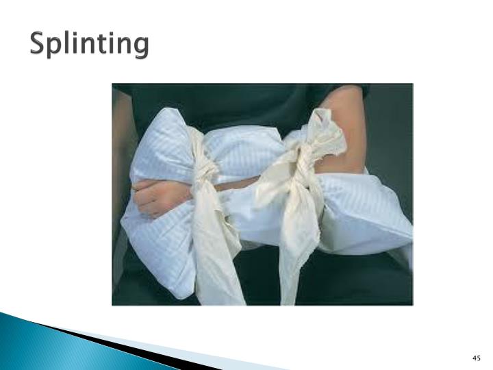 PPT - Chapter 7:4 Skeletal System PowerPoint Presentation - ID:2255263