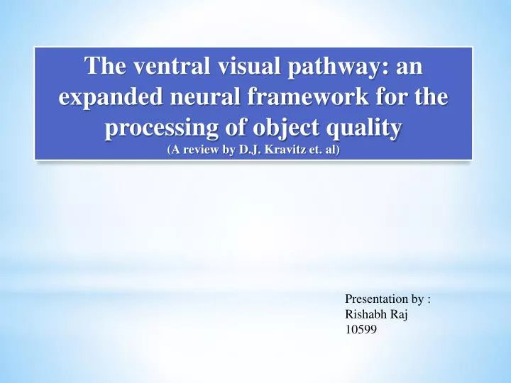 PPT - The ventral visual pathway: an expanded neural framework for the ...