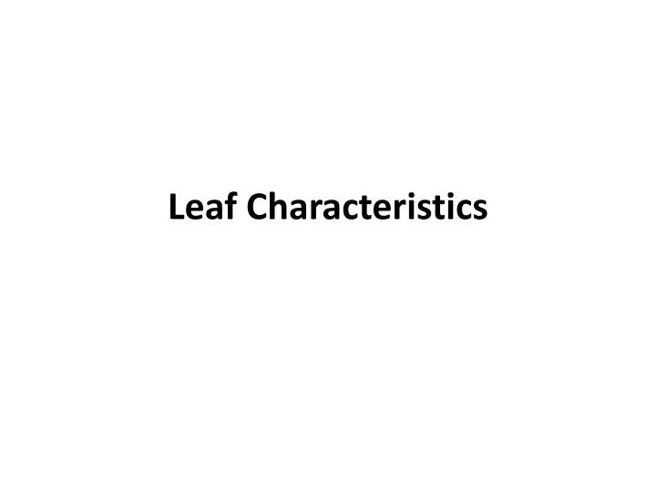 PPT - Leaf Characteristics PowerPoint Presentation, free download - ID ...