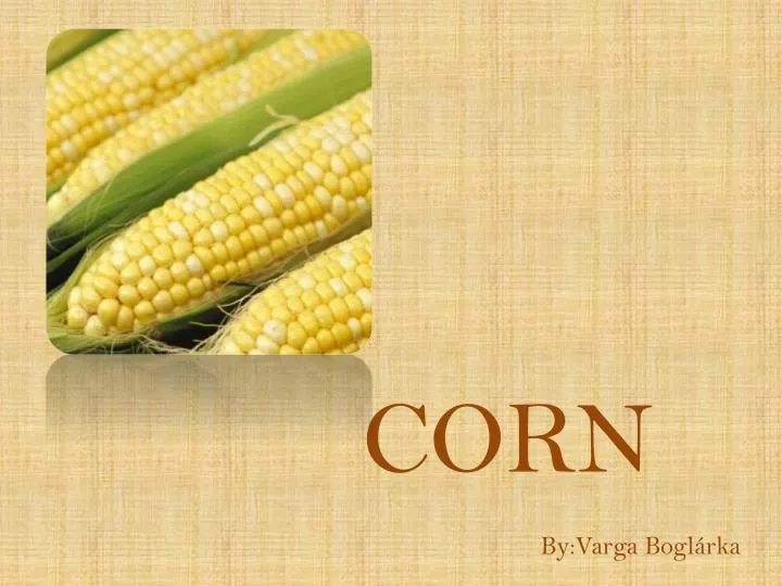 PPT - CORN PowerPoint Presentation, free download - ID:2256504
