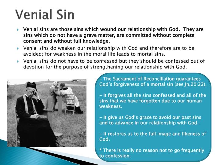 PPT - The Dignity of the Human Person PowerPoint Presentation - ID:2256827