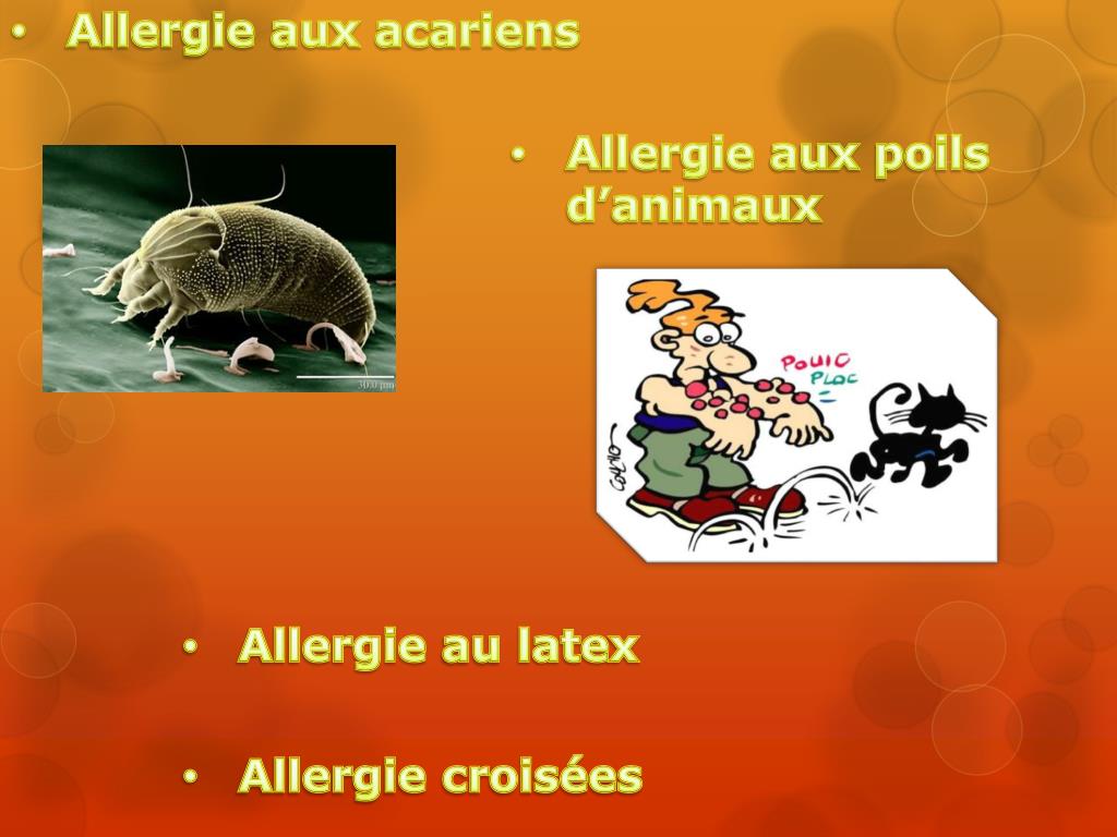PPT - Ça pique , ça gratte … Serait-ce une allergie? PowerPoint ...