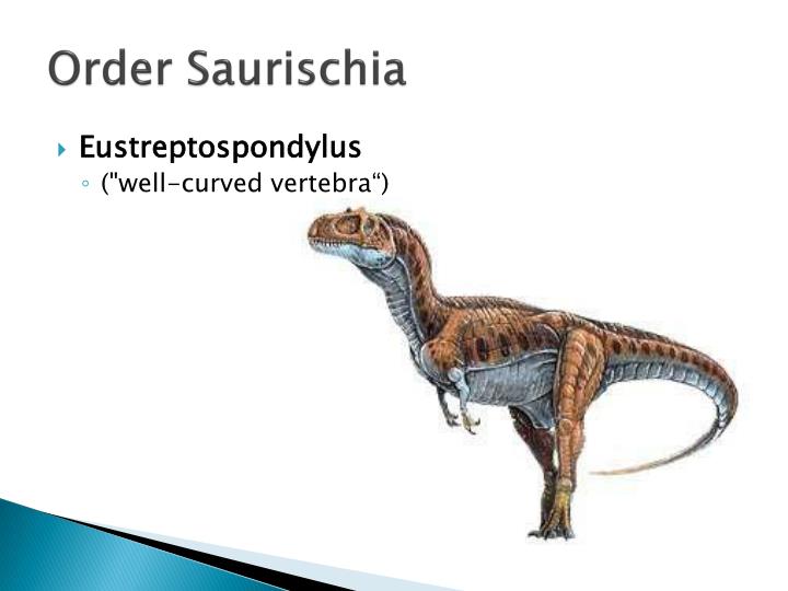 PPT - Class Reptilia PowerPoint Presentation - ID:2257363