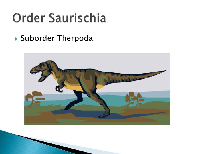 PPT - Class Reptilia PowerPoint Presentation - ID:2257363
