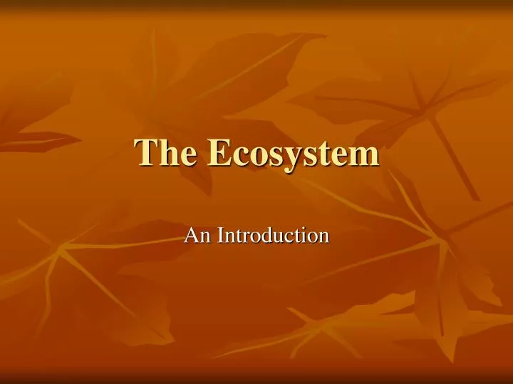 PPT - The Ecosystem PowerPoint Presentation, free download - ID:2257834