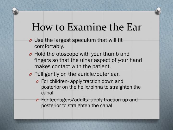 PPT - Ear we go! PowerPoint Presentation - ID:2258402