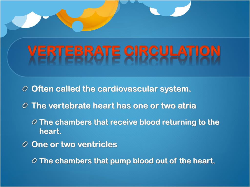 PPT - George Koutsothanasis Nicole Rebusi Kate Modica Ashley Davis ...