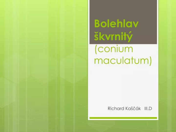 PPT - Bolehlav škvrnitý ( conium maculatum ) PowerPoint Presentation ...