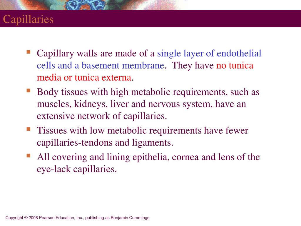 Ppt Histologi Kardiovaskuler Powerpoint Presentation Free Download