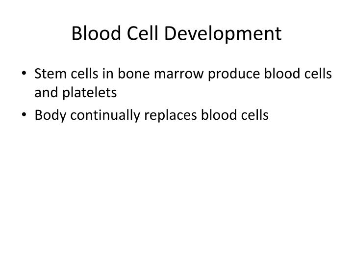 PPT - Circulation and Respiration PowerPoint Presentation - ID:2258896