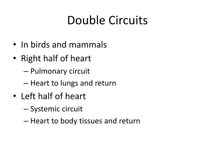 PPT - Circulation and Respiration PowerPoint Presentation - ID:2258896