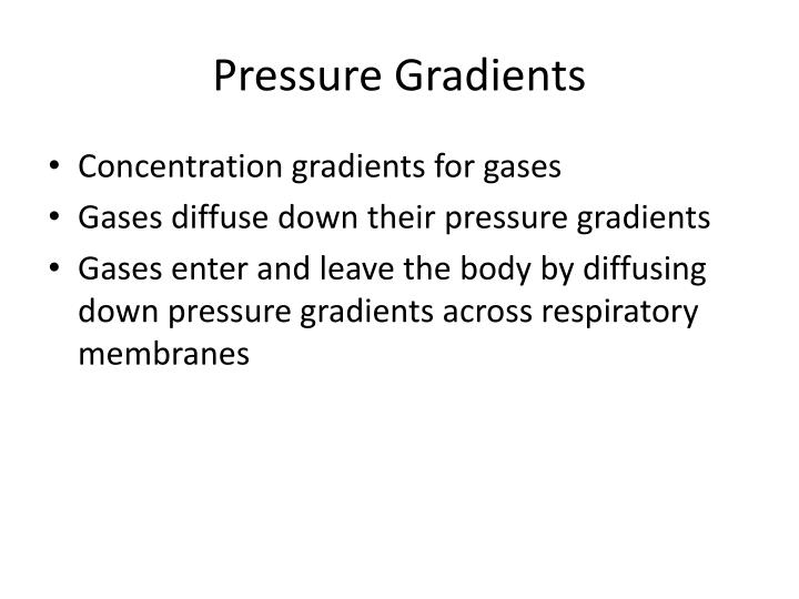 PPT - Circulation and Respiration PowerPoint Presentation - ID:2258896