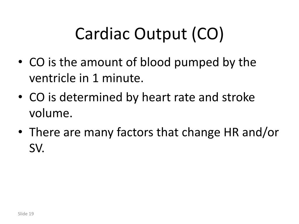 PPT - Chapter 18 Anatomy of the Blood Vessels PowerPoint Presentation ...