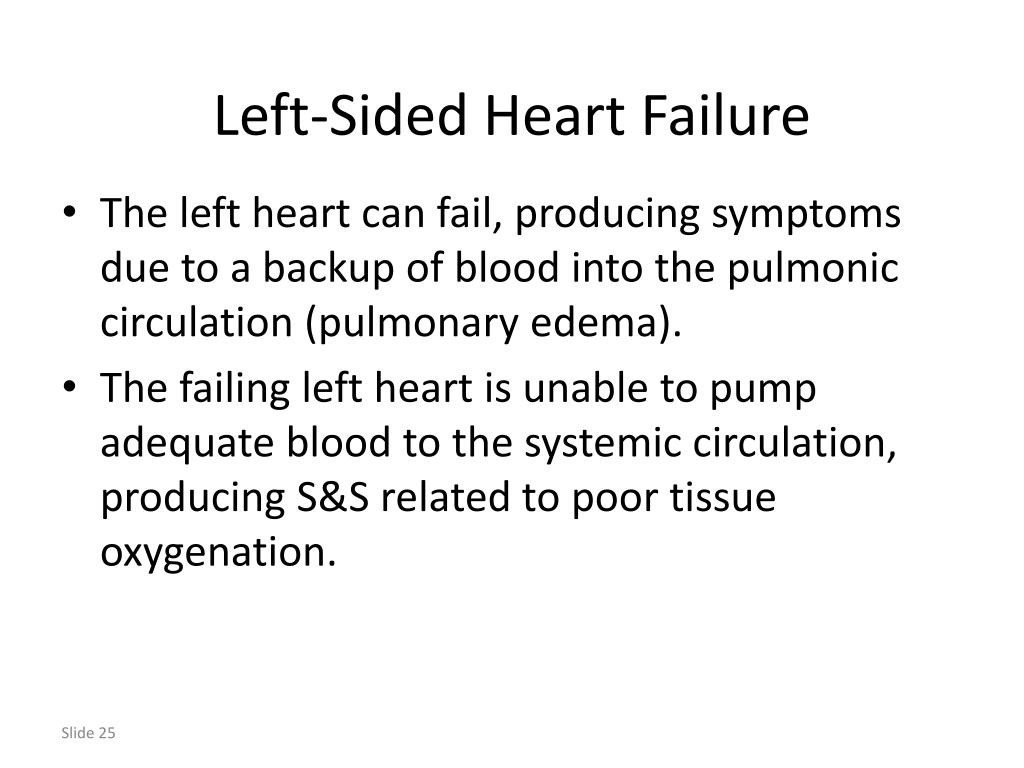 PPT - Chapter 18 Anatomy of the Blood Vessels PowerPoint Presentation ...