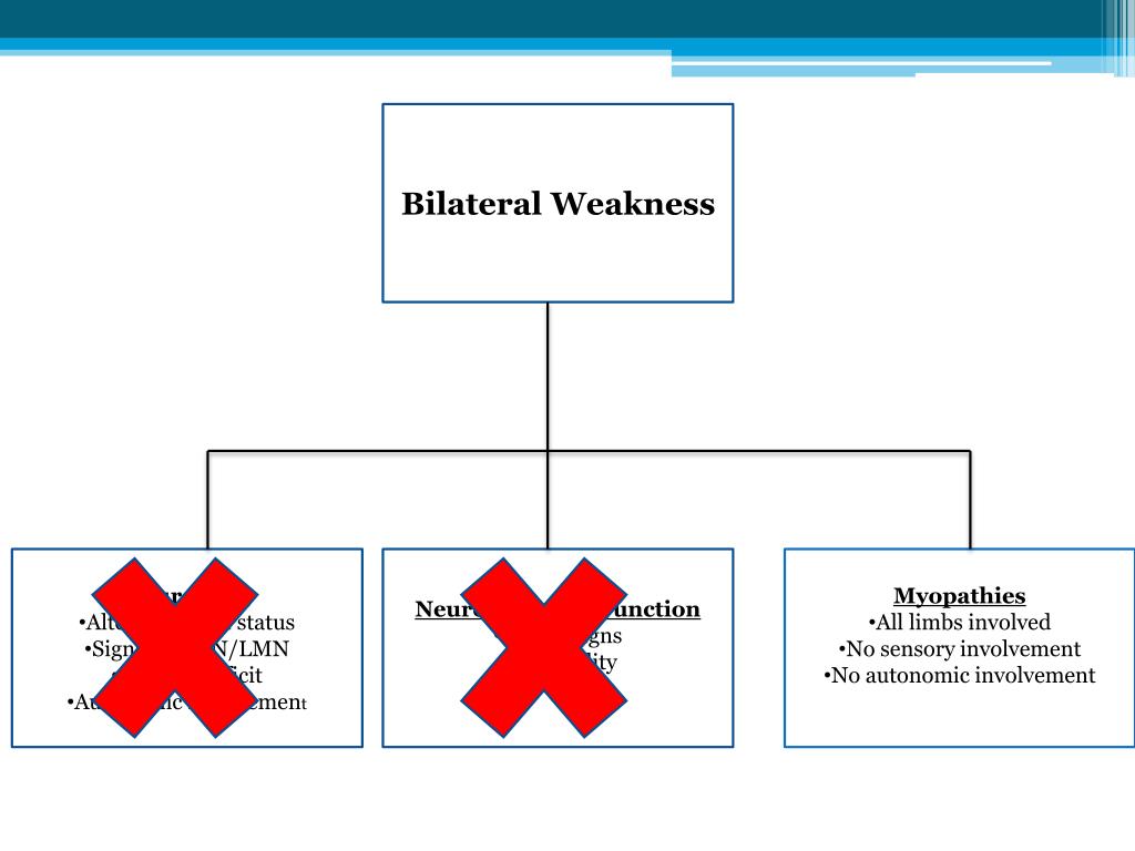 PPT - Hypokalemia and Primary Hyperaldosteronism: A Diagnostic ...