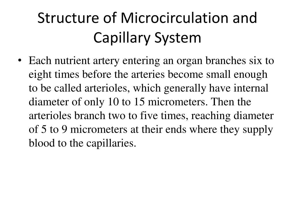 Ppt Microcirculation Powerpoint Presentation Free Download Id 2259307