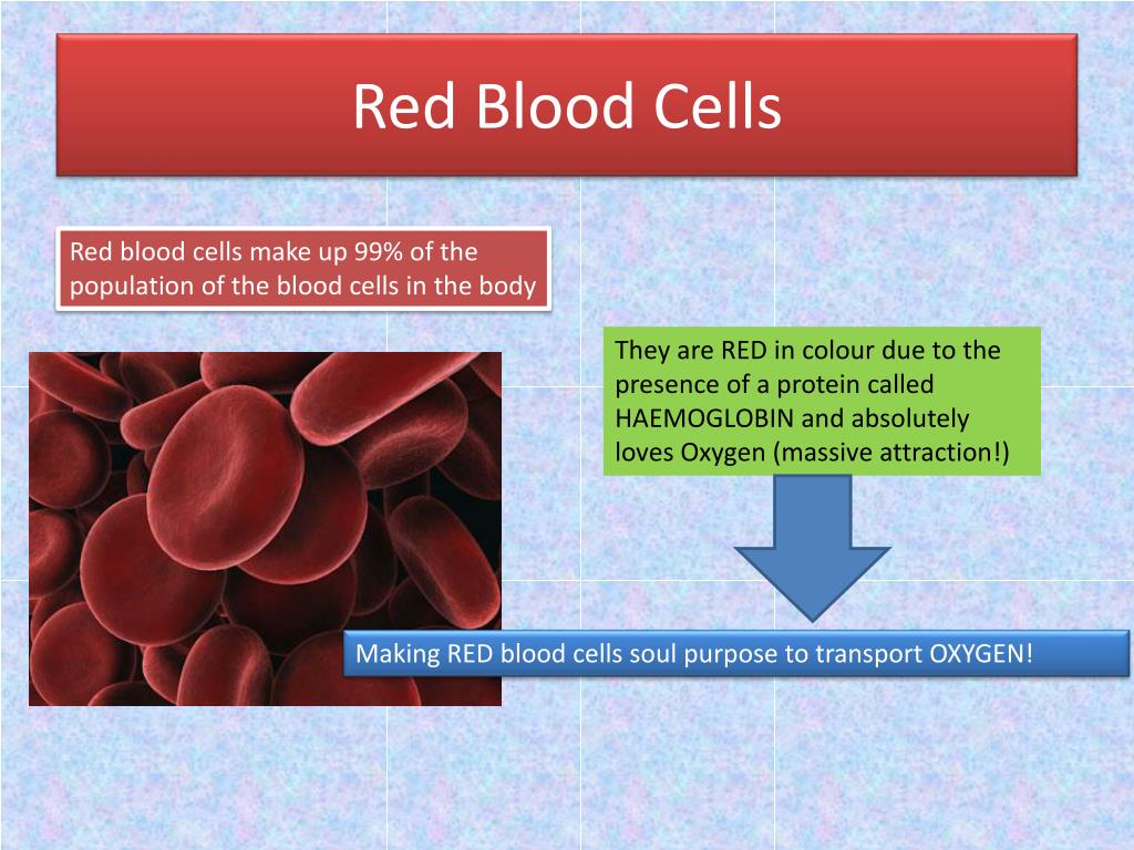 PPT - Blood Vessels and Blood PowerPoint Presentation, free download ...