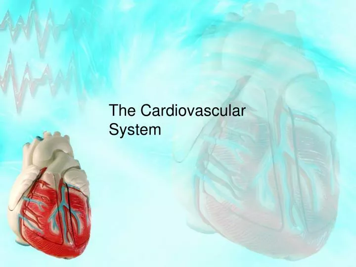 PPT - The Cardiovascular System PowerPoint Presentation, free download ...