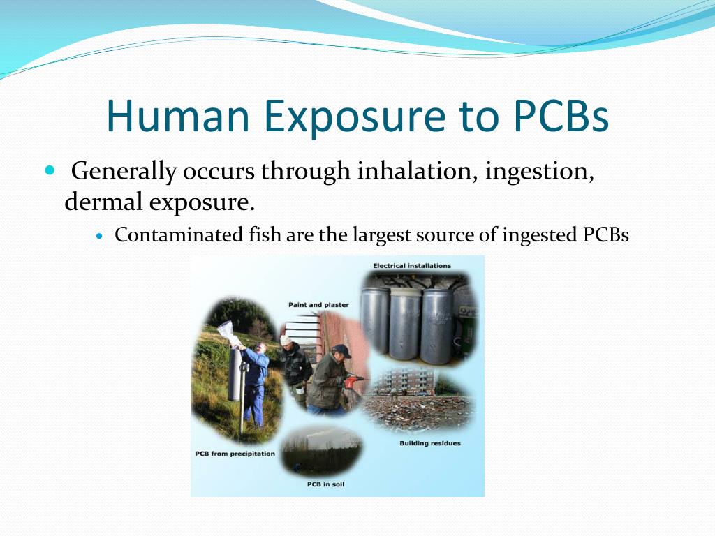 PPT - Environmental Fate and Biological Effects of Polychlorinated ...