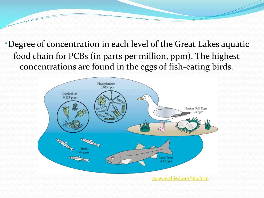 PPT - Environmental Fate and Biological Effects of Polychlorinated ...