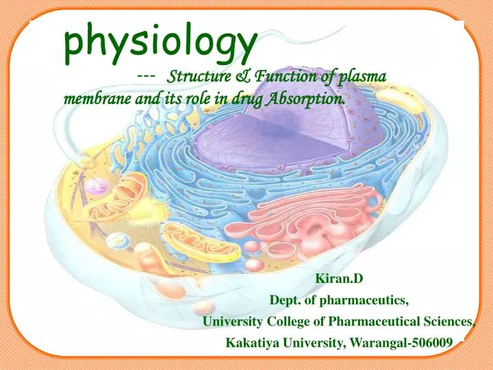 PPT - physiology PowerPoint Presentation, free download - ID:2260363