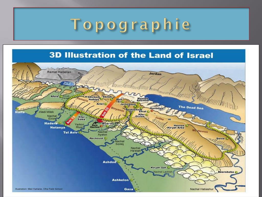 PPT - La Bible patrimoine de l’ humanite PowerPoint Presentation, free ...