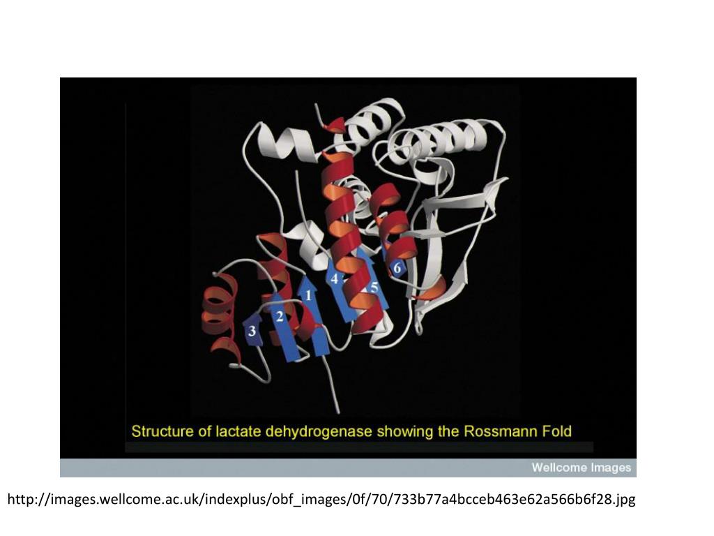 PPT - http://www.sspf.ac.uk/images/psv131.png PowerPoint Presentation ...