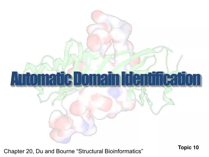 PPT - Automatic Domain Identification PowerPoint Presentation, free download - ID:2261507
