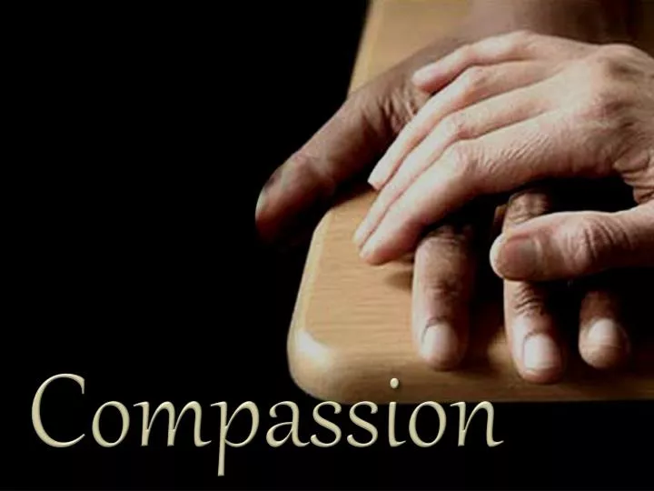 PPT - Compassion PowerPoint Presentation, free download - ID:2261558