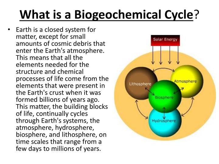 Biogeochemical Cycle Ppt Biogeochemical Cycle Ppt