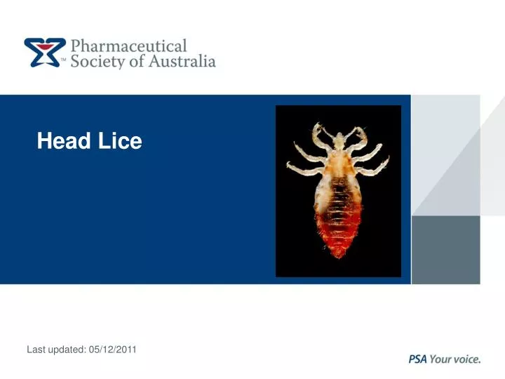 PPT - Head Lice PowerPoint Presentation, free download - ID:2262790