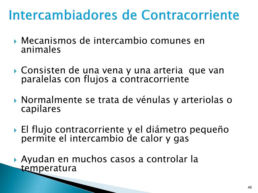 PPT - ANATOMÍA ESTRUCTURA Y FISIOLOGÍA DE LOS SISTEMAS CIRCULATORIO Y ...