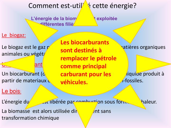 PPT - LA BIOMASSE PowerPoint Presentation - ID:2263079