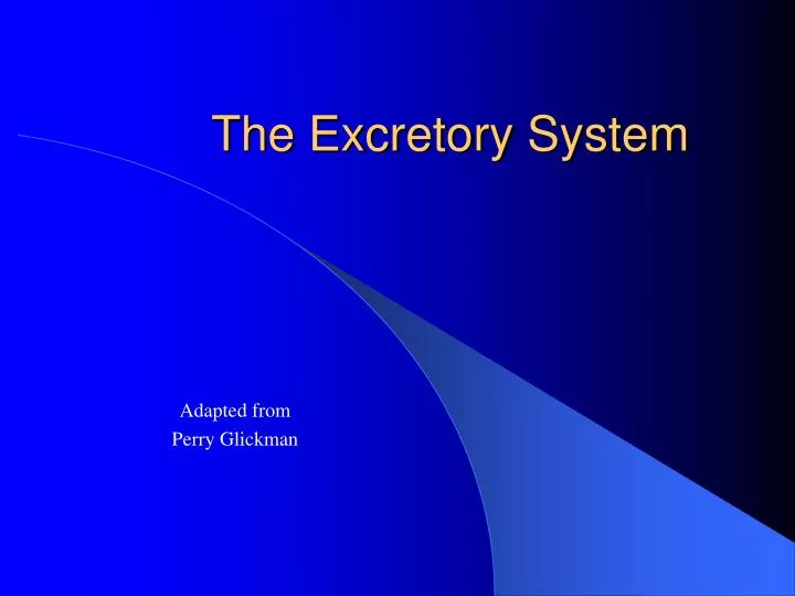 PPT - The Excretory System PowerPoint Presentation, free download - ID ...