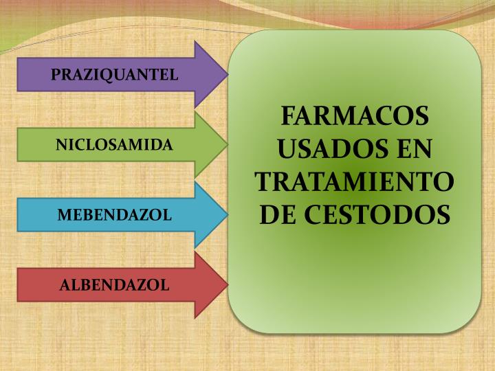 PPT - FARMACOS CONTRA HELMINTOS Y CESTODOS PowerPoint Presentation - ID ...