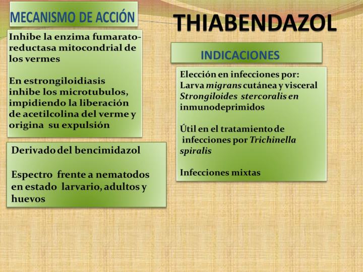 PPT - FARMACOS CONTRA HELMINTOS Y CESTODOS PowerPoint Presentation - ID ...