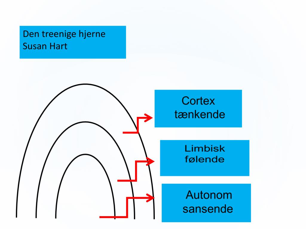 PPT - Annemette Møller Specialbørnehaven Børnehuset Sønderskov ...