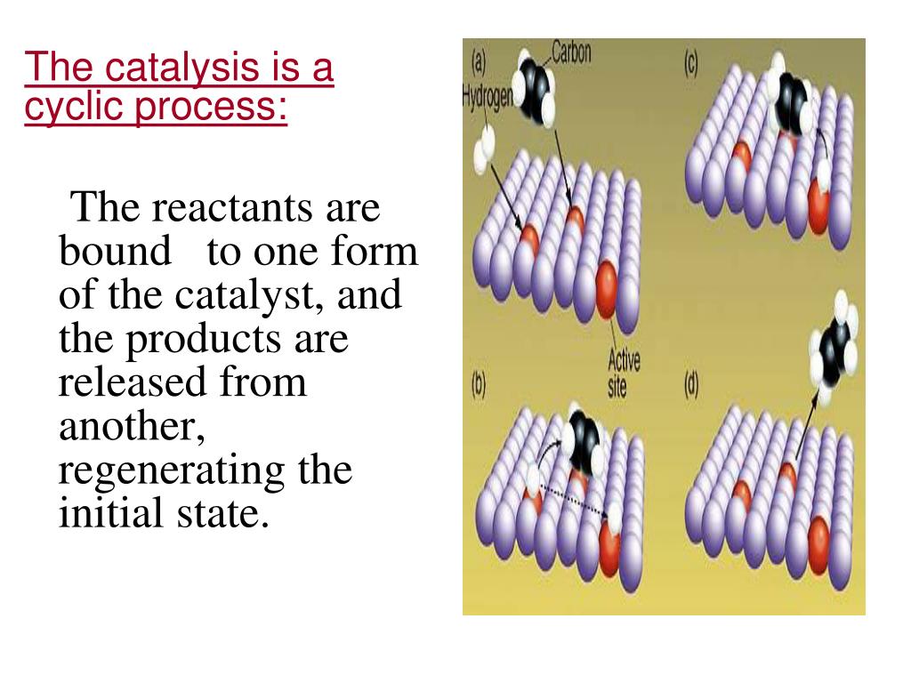 PPT - PE333 Chemical reaction &industrial catalysis PowerPoint ...